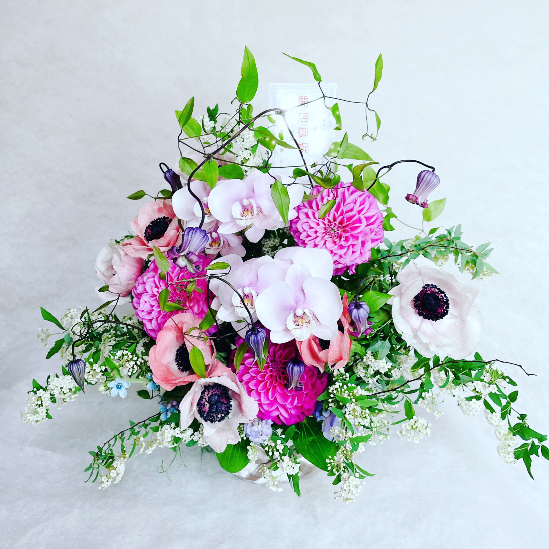 Atelier Korin | Finurseクーポン